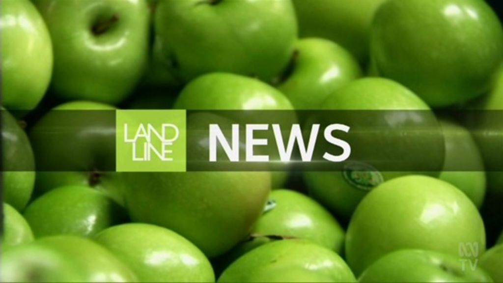 News: Rural and regional issues making the news - ABC News