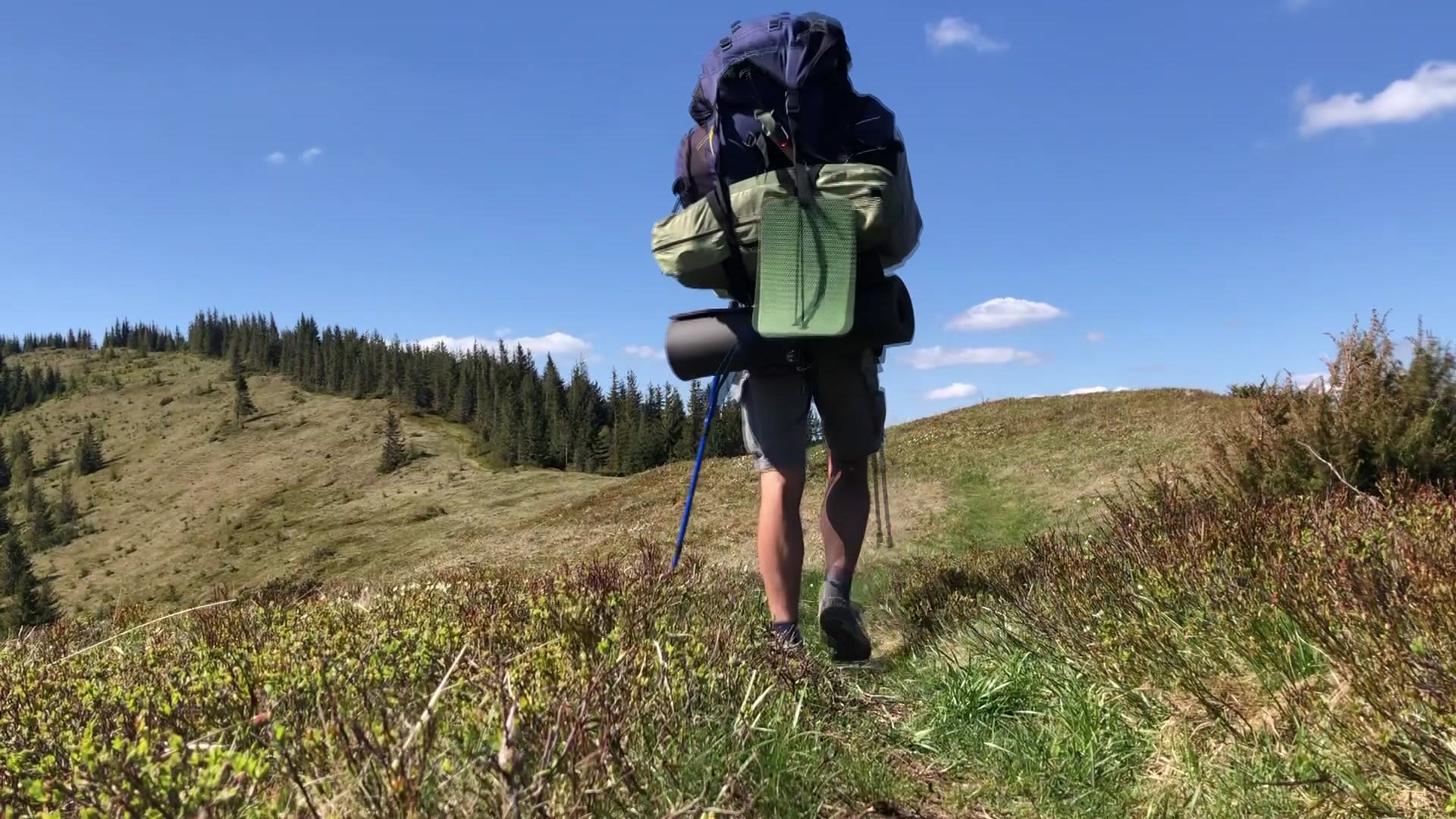 The fire flared up after midday on Christmas Day. - ABC News