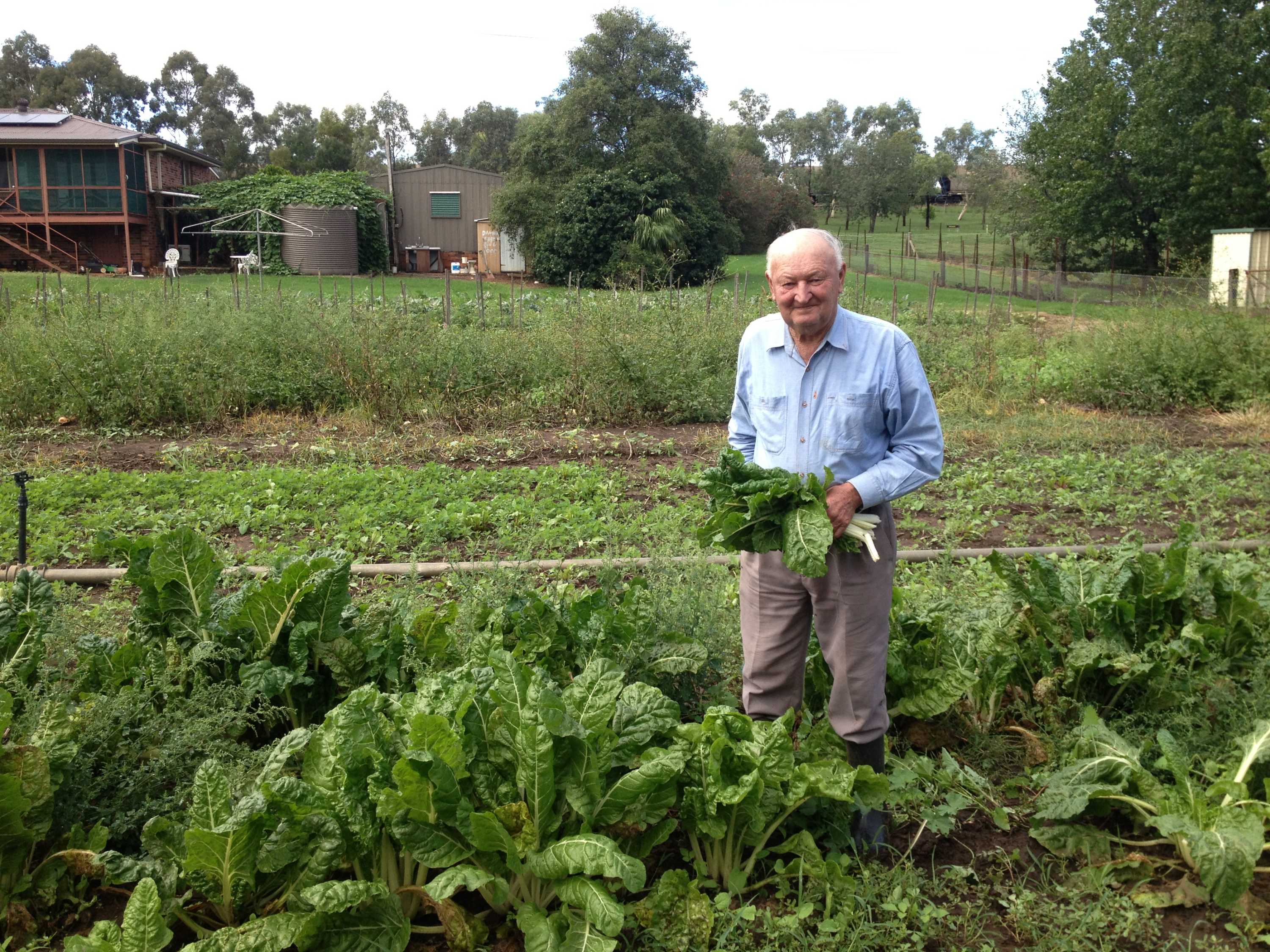 Re-positioning Muswellbrook after the coal downturn - ABC News
