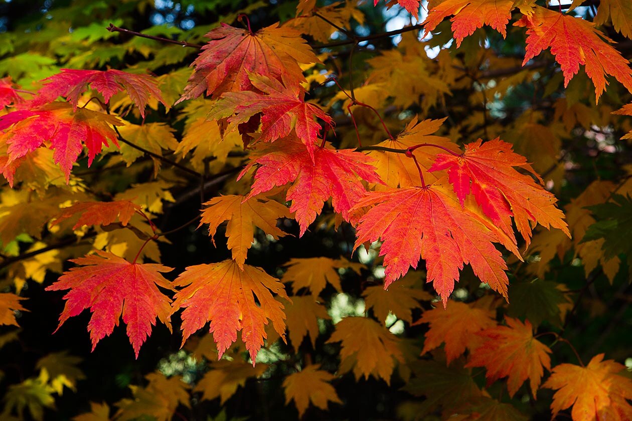 Findings from the Commissioner for Children and Young People's latest ...