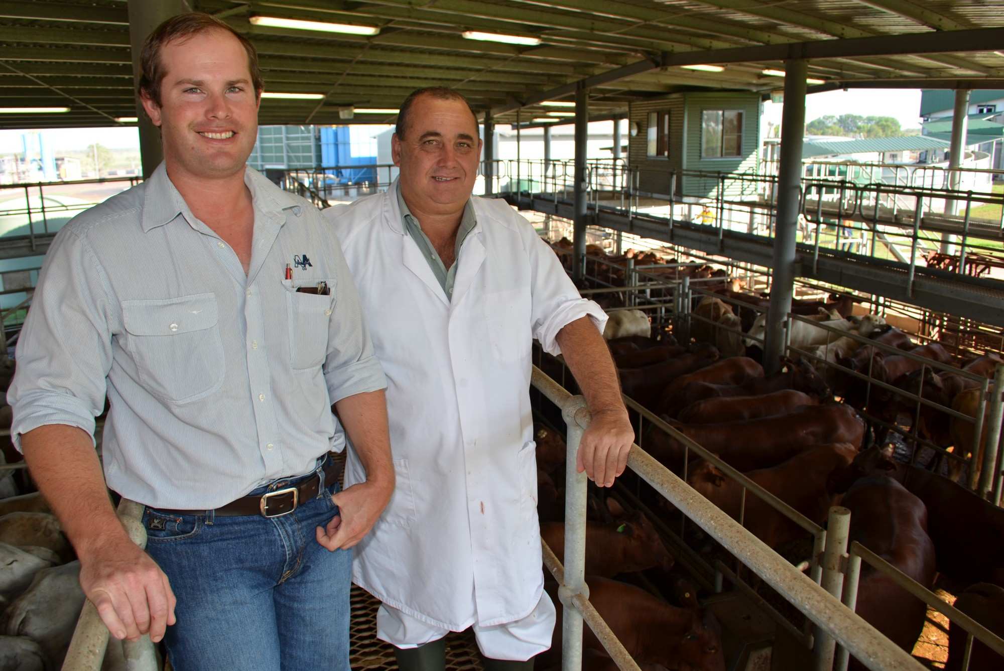 Northern Territory abattoir runs first full commercial buffalo ...