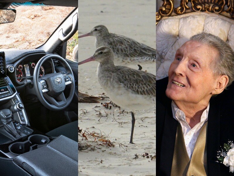 The Loop: Chip shortage impacts 'smart' keys, bird flies 13,500km non ...