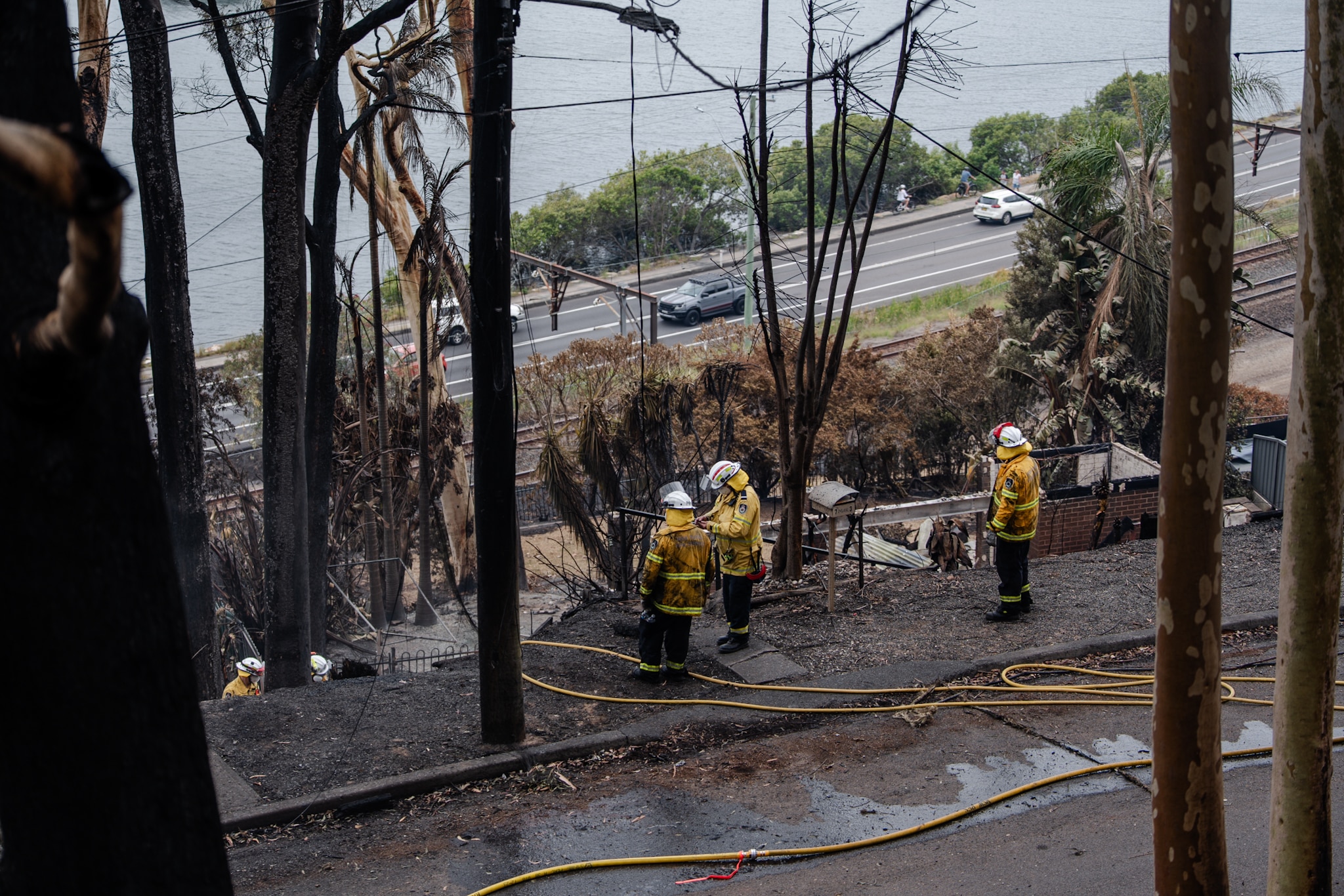 Woman who lost home in Koolewong bushfire to reunite with cat seriously ...