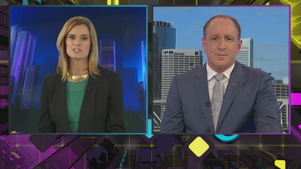 Government MP Luke Howarth on Liberal leadership - ABC News