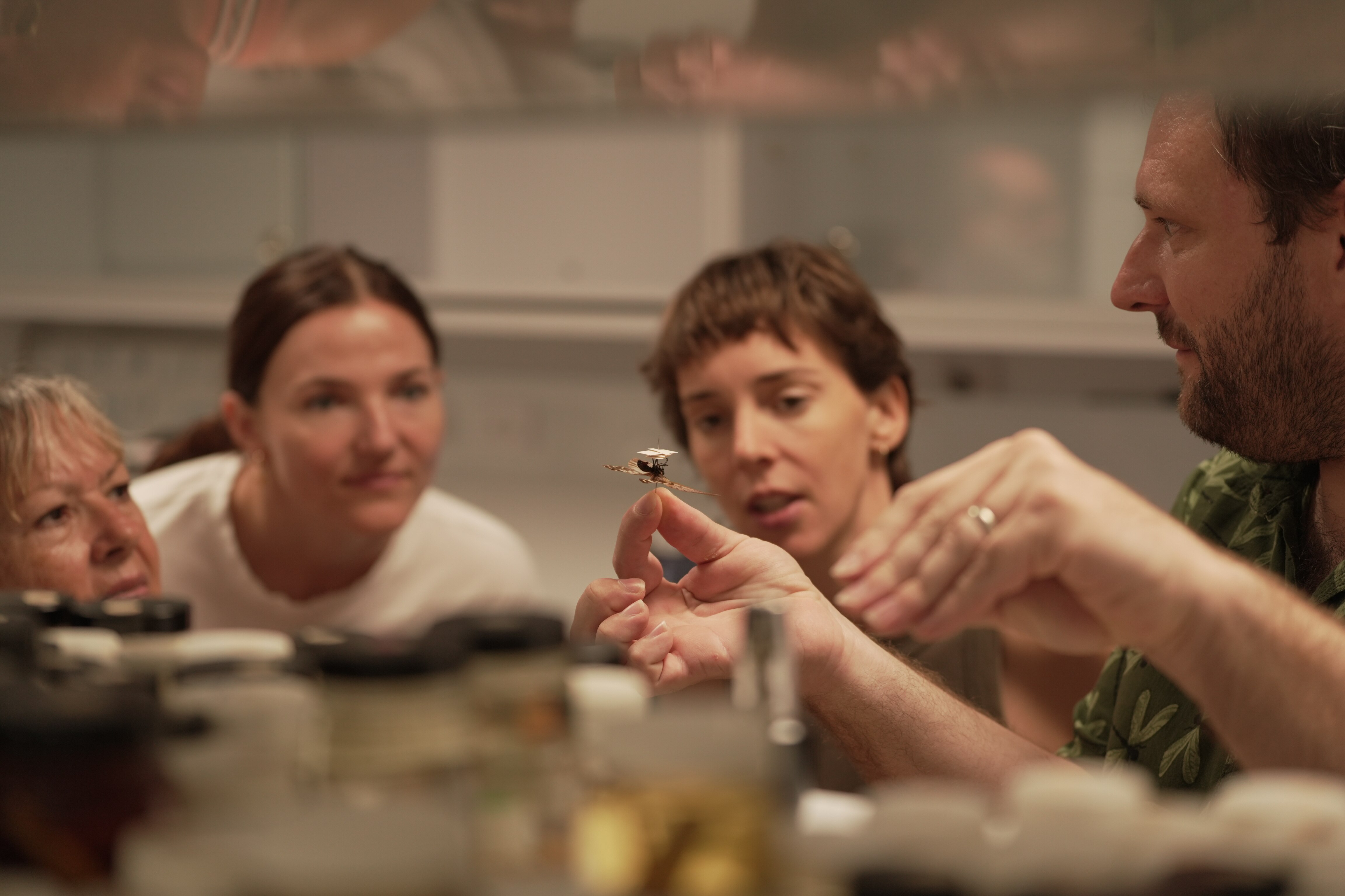 NT insect collection opens doors to citizen scientists to share ...