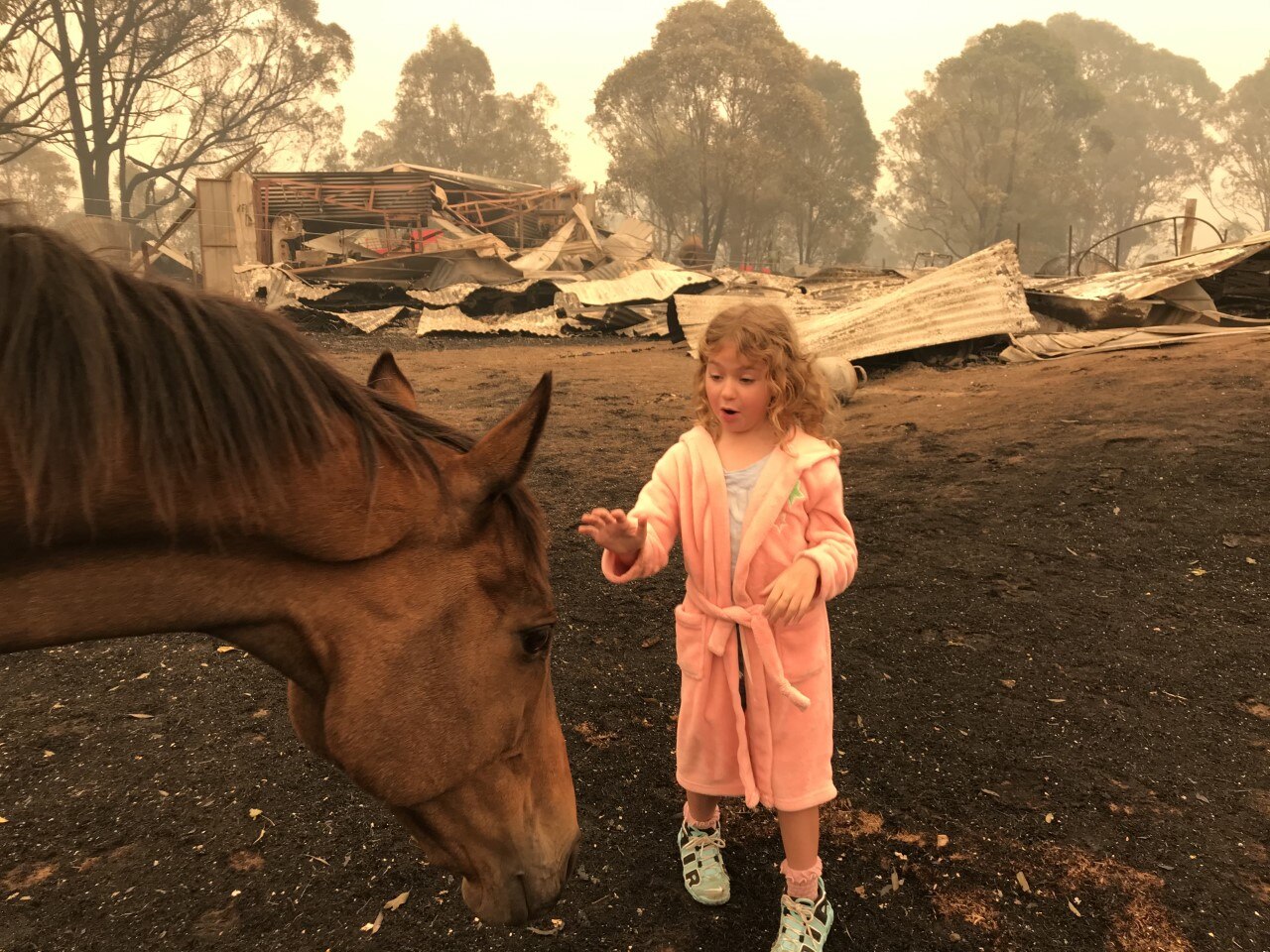 Cobargo bushfires didn't stop foster carers from providing a home for ...