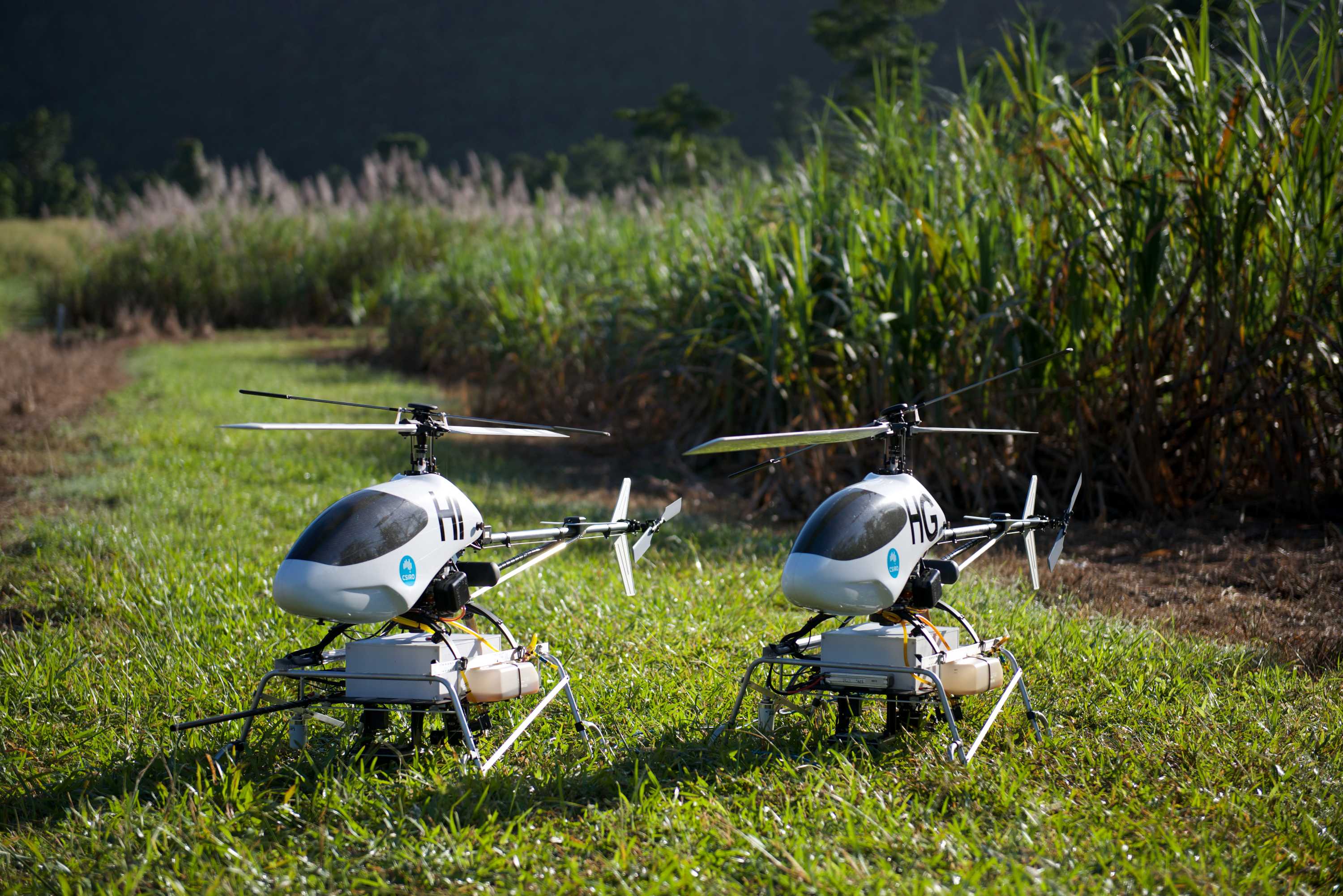 Surveillance robots an eye in the sky to detect weeds and pests - ABC News