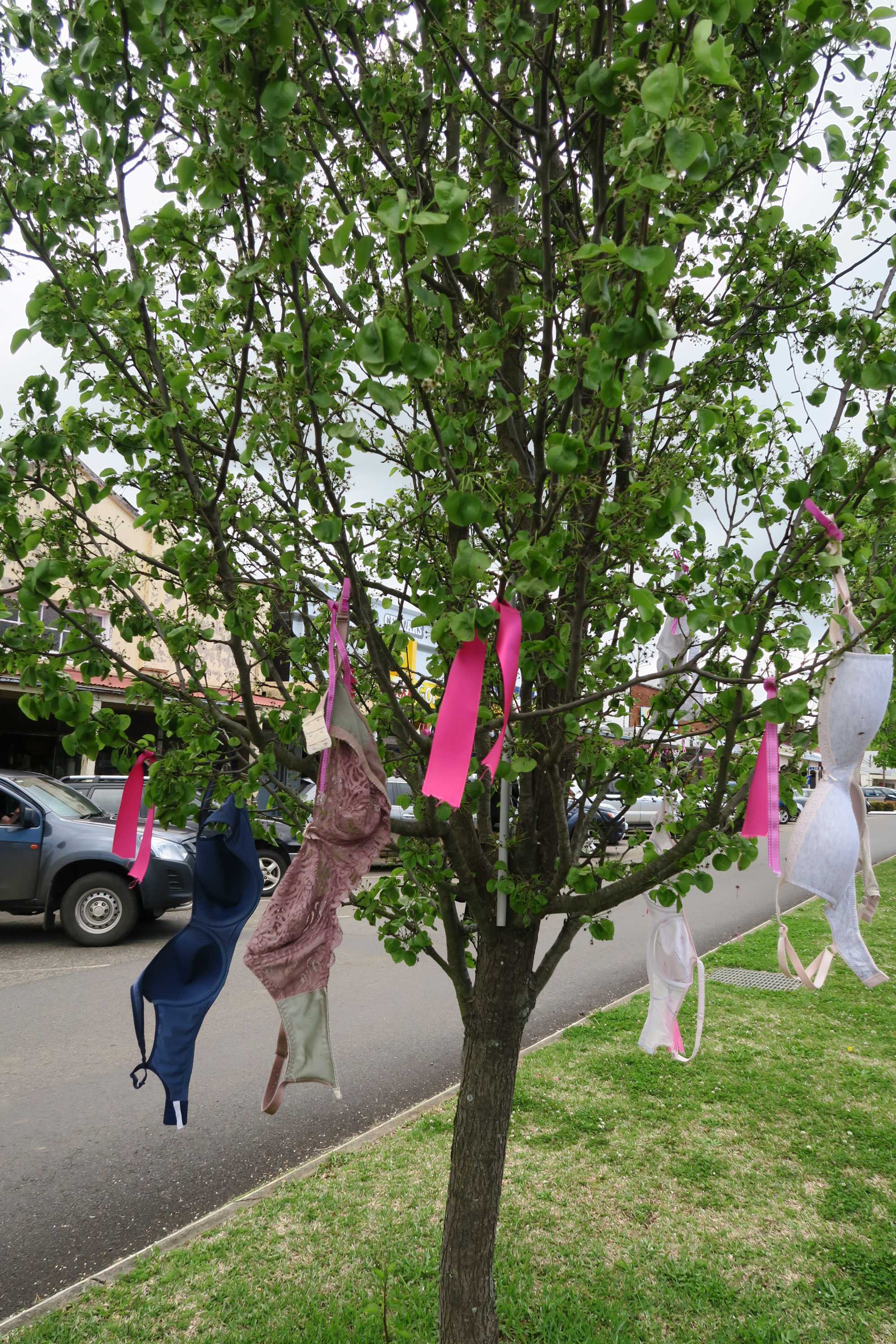 How a town adorned with bras started conversations about breast cancer ...