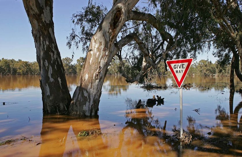 Flood threat moves to Echuca, Kerang - ABC News