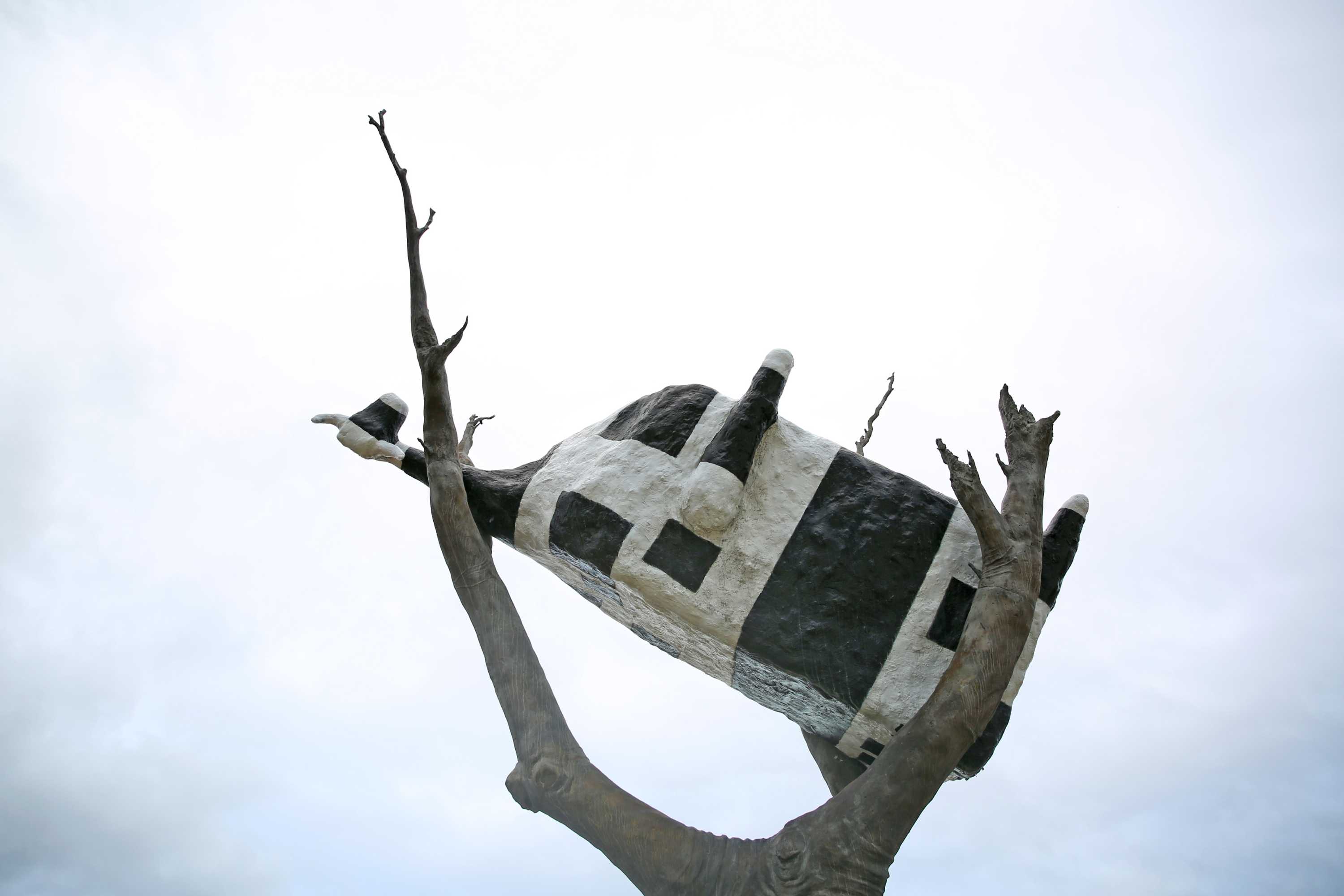 'Cow Up a Tree' creator objects to neighbouring cafe - ABC listen