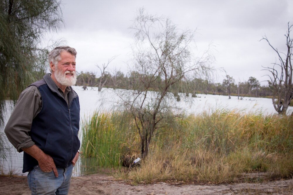 Riverland fruit grower drives restoration of vulnerable Woolenook ...