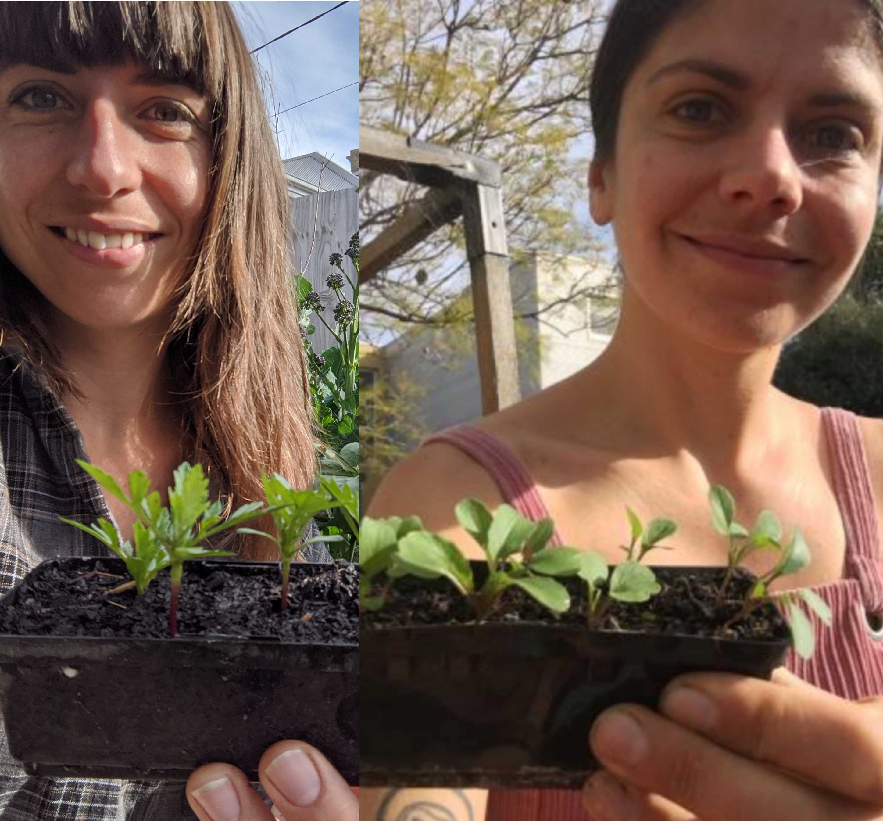 The small acts of kindness bringing Melbourne's suburbs together during ...