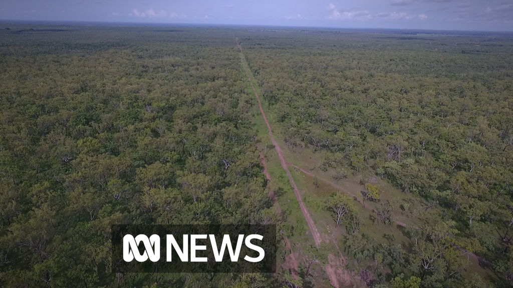 Noonamah - 0837 - Location - ABC News