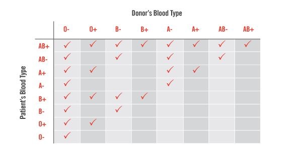Australia needs more ethnic blood donors to reflect our multicultural ...