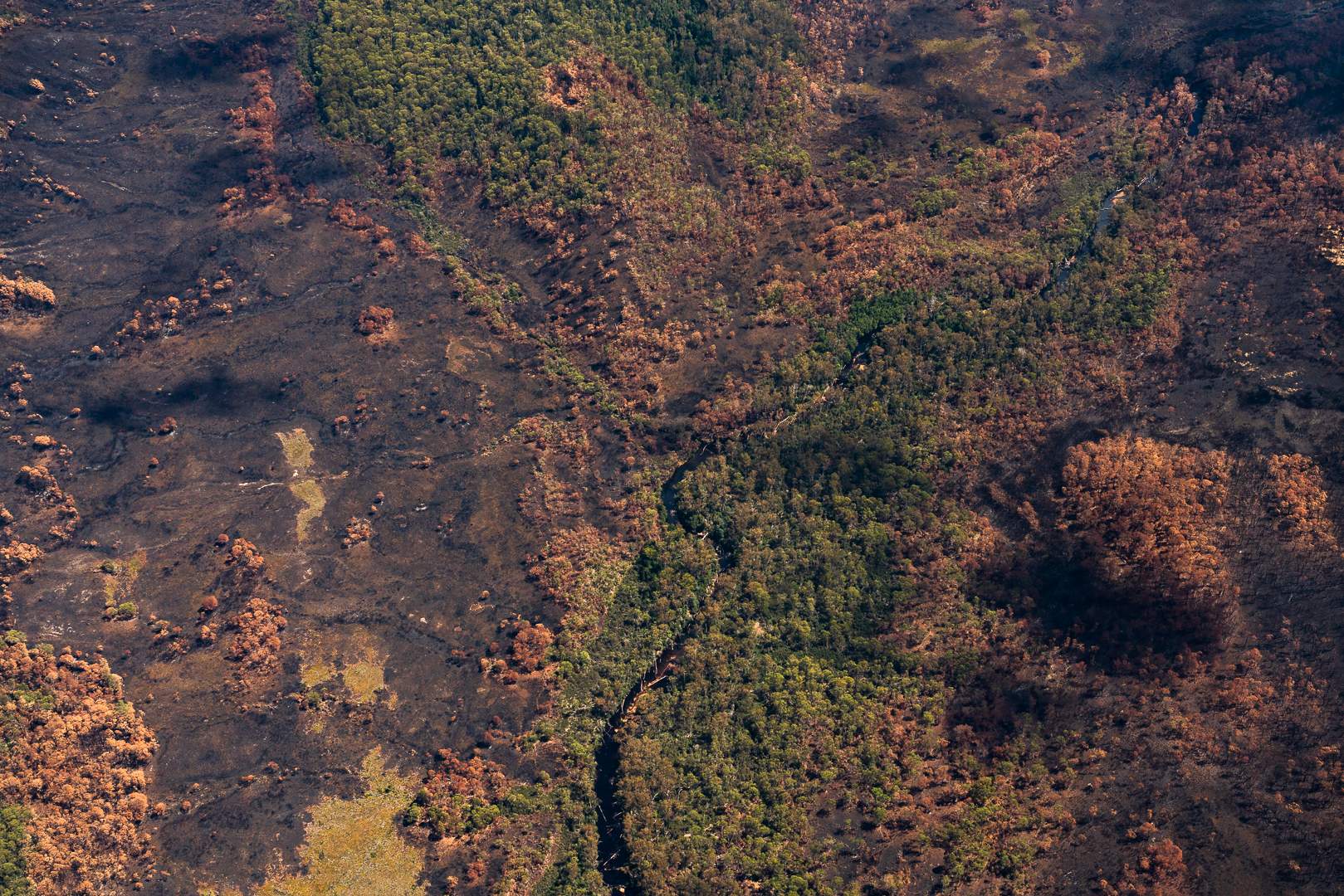 Photos reveal bushfire devastation in Tasmania's south-west wilderness ...