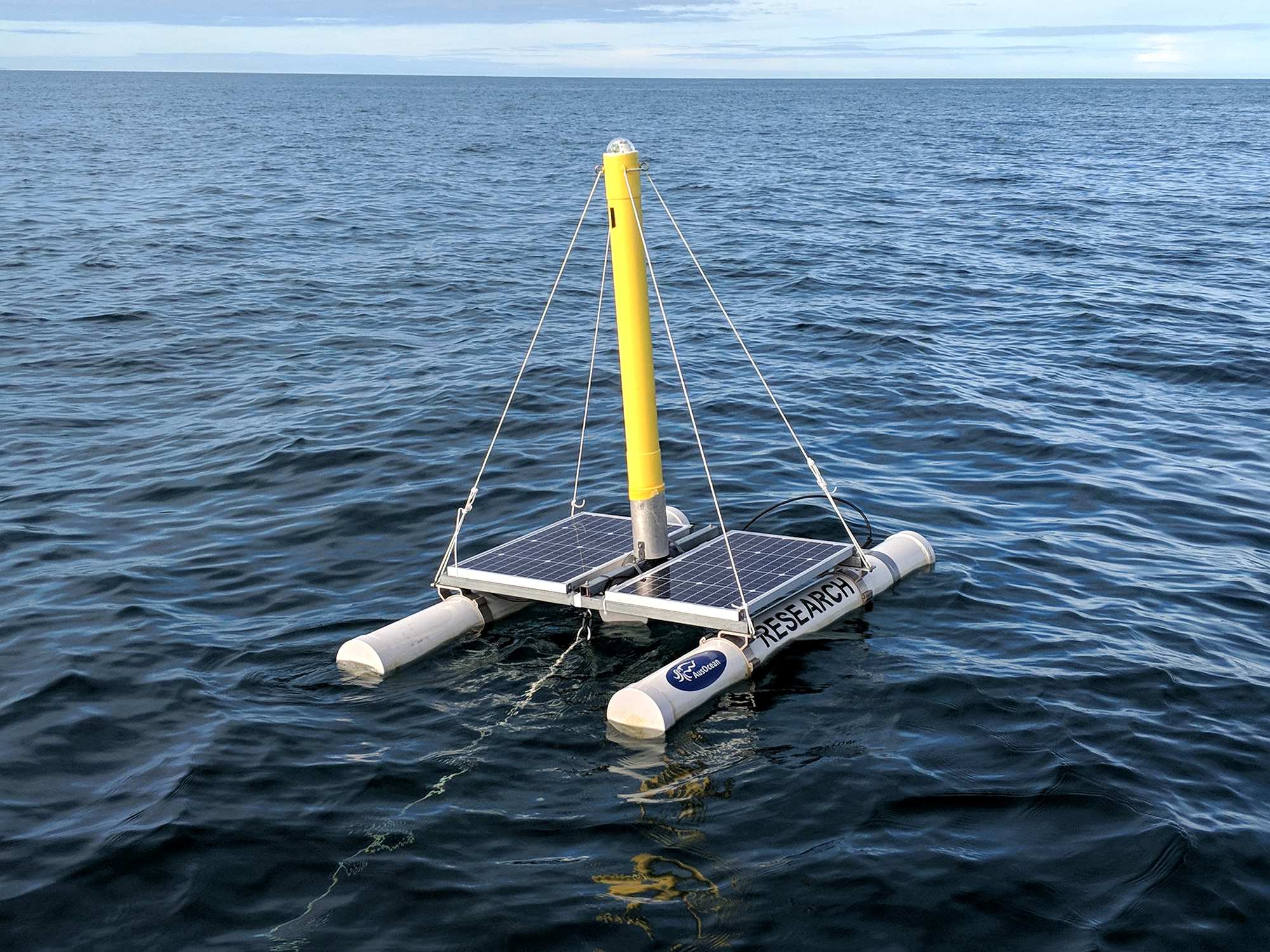 Former Google heavy-hitter turns to underwater drones to aid marine ...