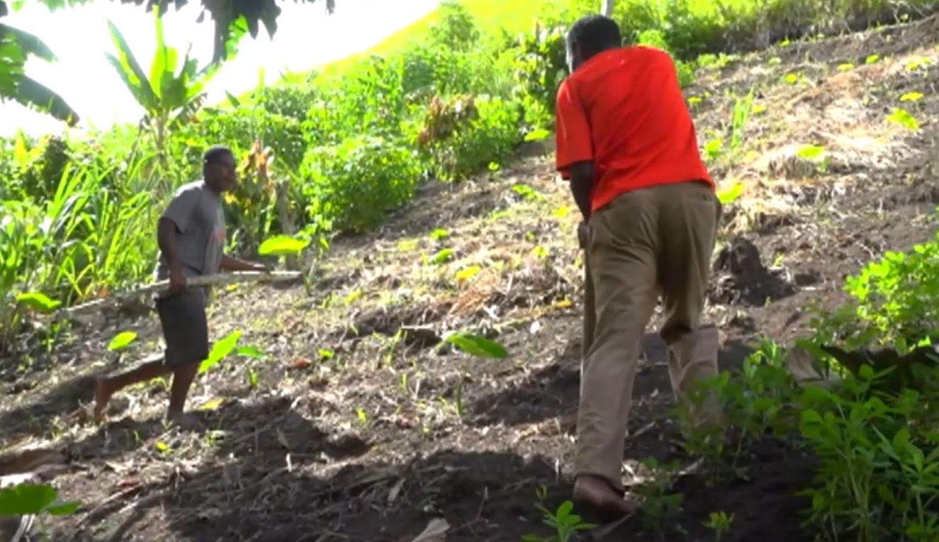 El Nino set to cause drought in PNG and Vanuatu - ABC Pacific