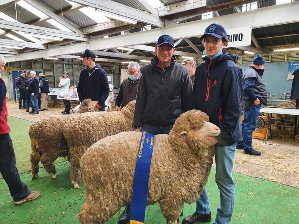 Merinos and Southdowns shine at this year's Victorian Sheep Show at ...