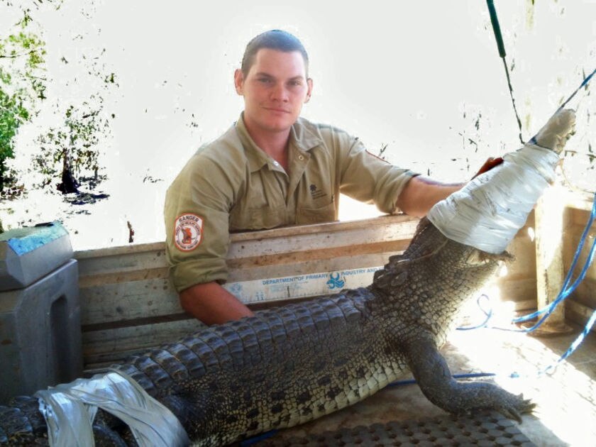 Wangi Falls closed to swimming after croc caught - ABC News