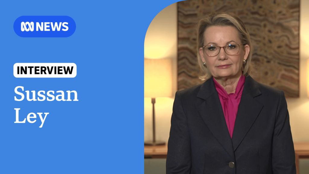 Foot archer's incredible world record breaking shot - ABC News