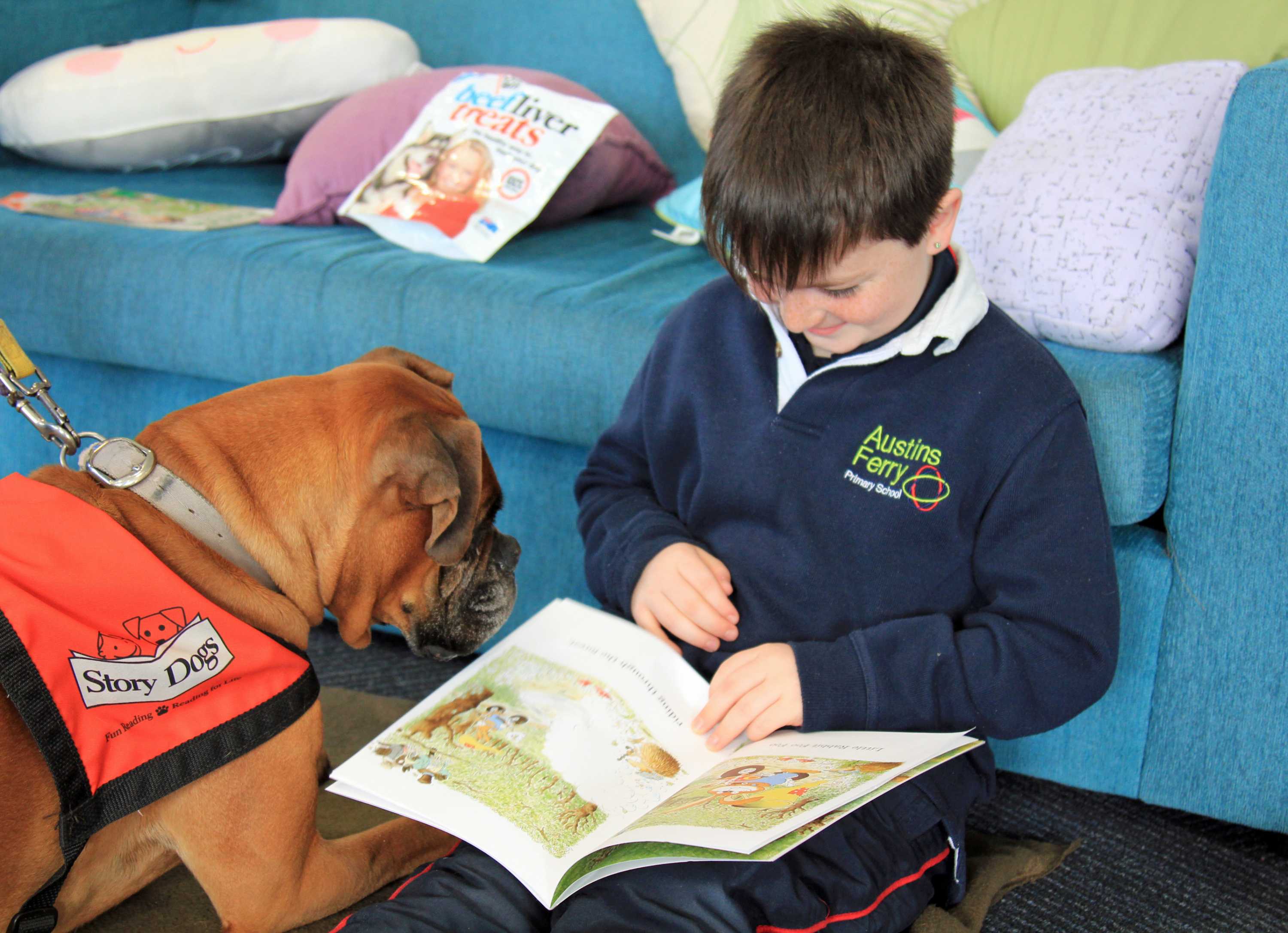 Story Dogs recruit Lollipop helps primary school kids improve their ...