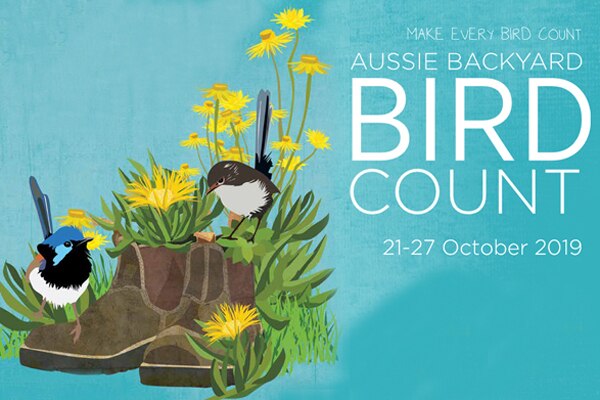 Aussie Backyard Birdcount 2019 - Gardening Australia