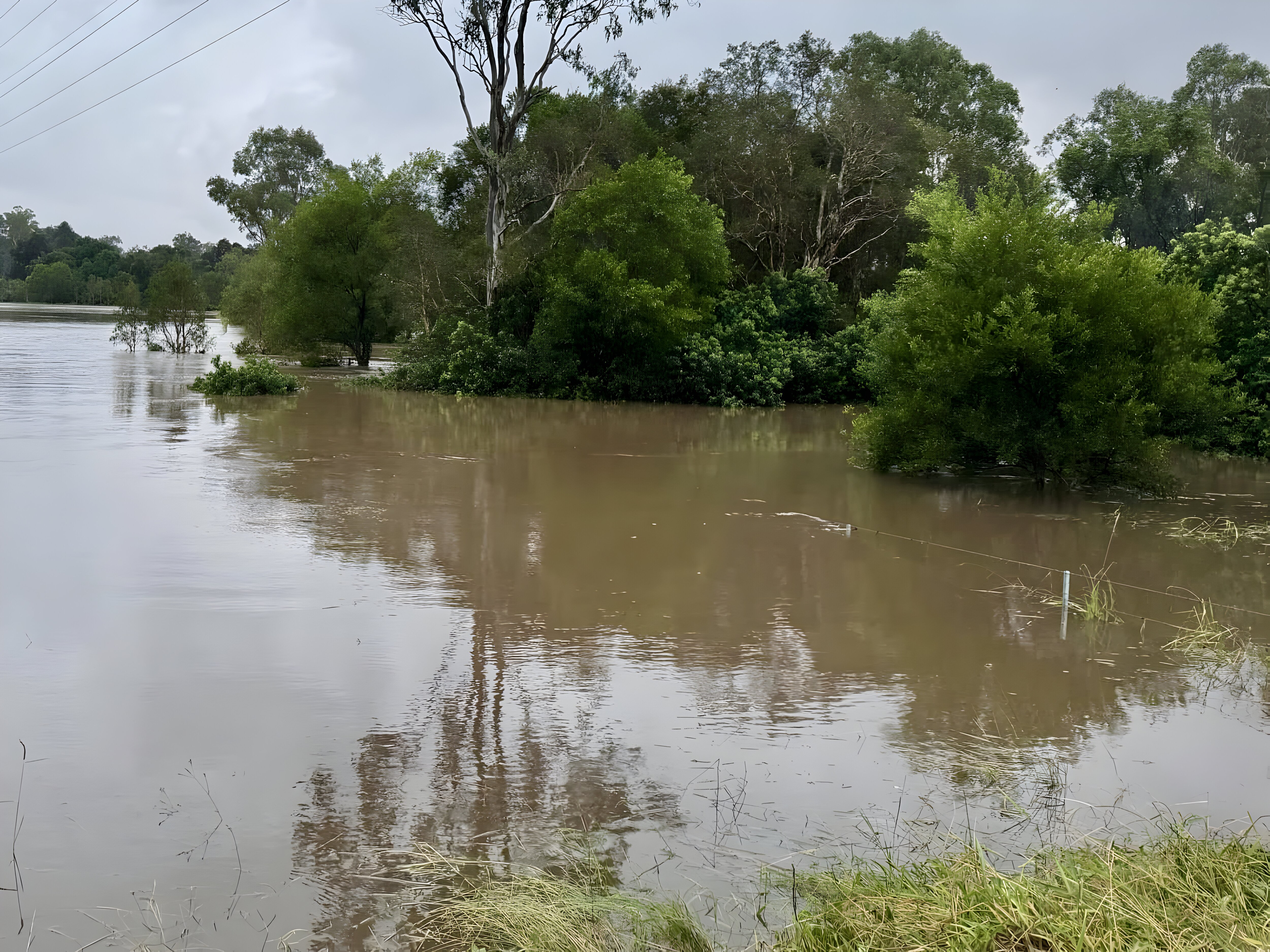 Farmer braves floodwaters with snake, spiders to save cattle and crops ...