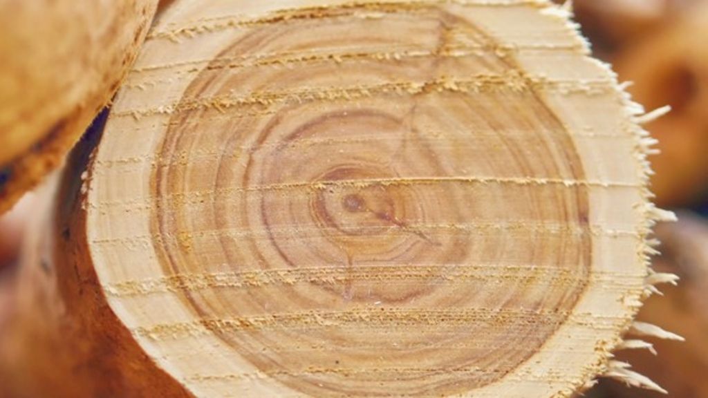 Farming Rocks: The former landscapers 'farming' rocks - ABC News