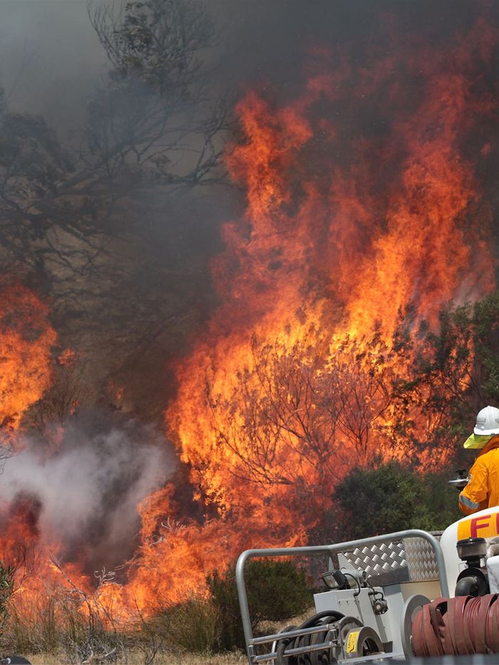 Horses may have to be put down after Esperance fire - ABC News