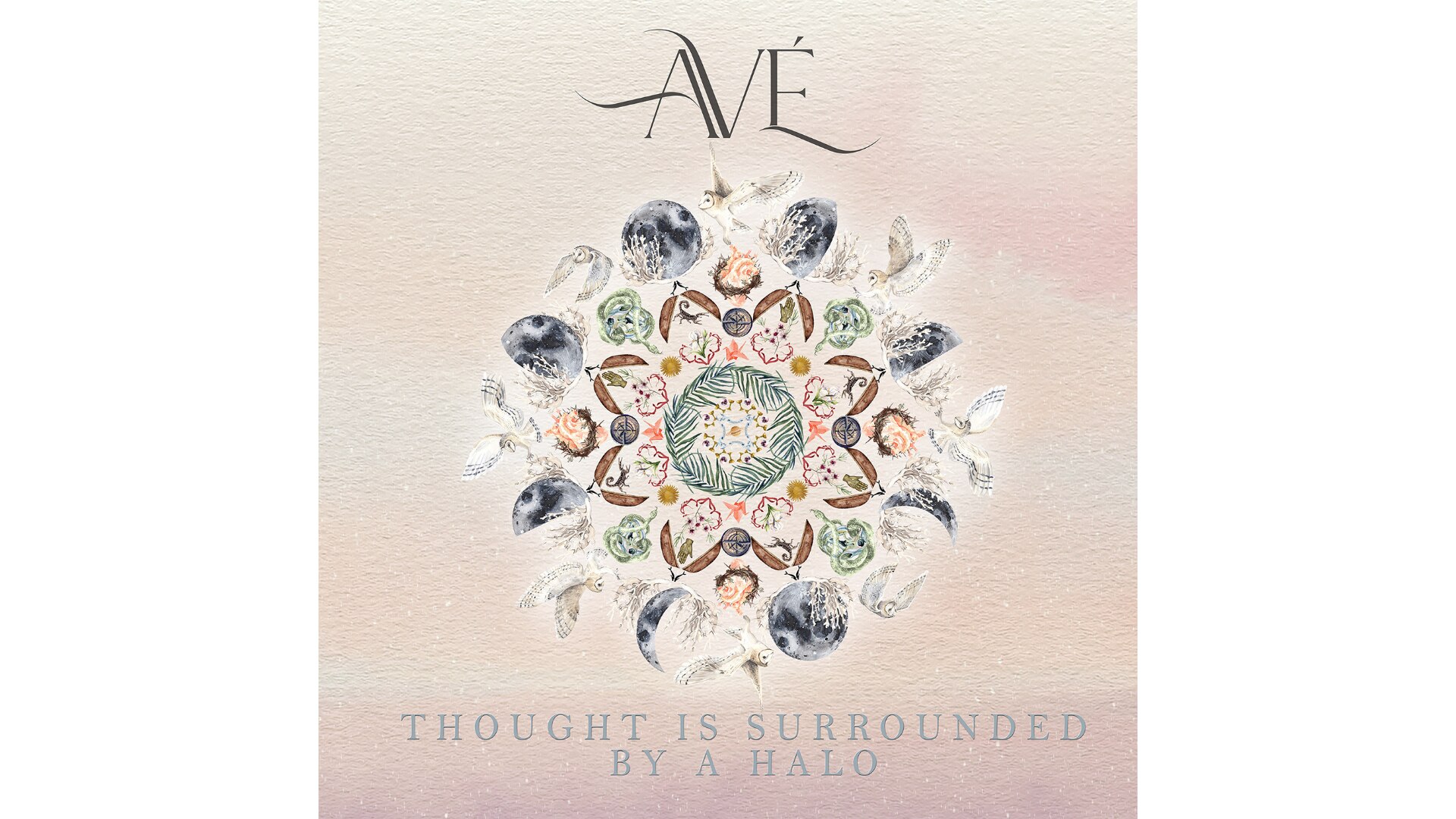 AVÉ – Australian Vocal Ensemble - Thought Is Surrounded by a Halo - ABC ...