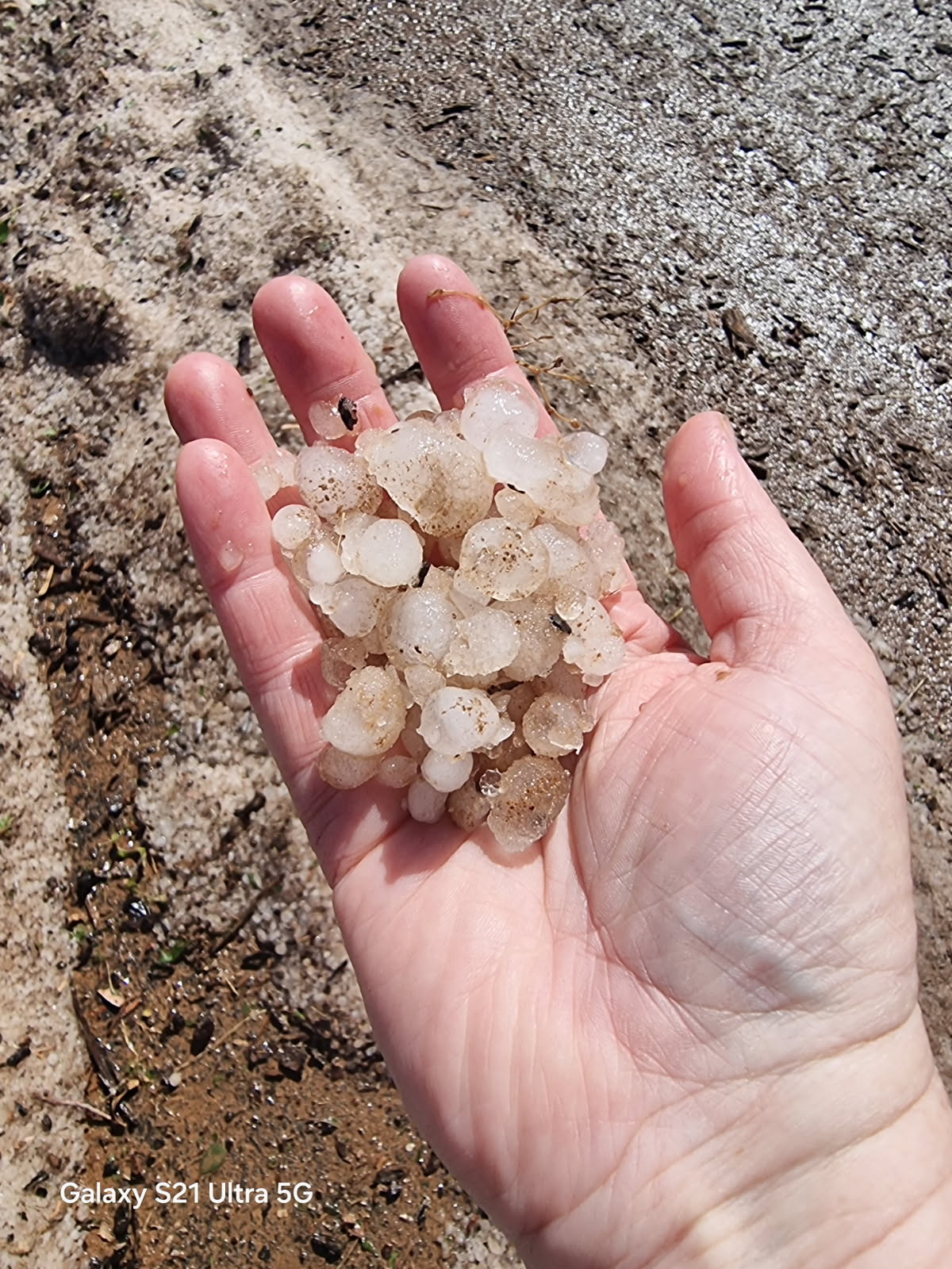 Storm and wind gusts of 119km/h damage homes, trees, powerlines at Port ...