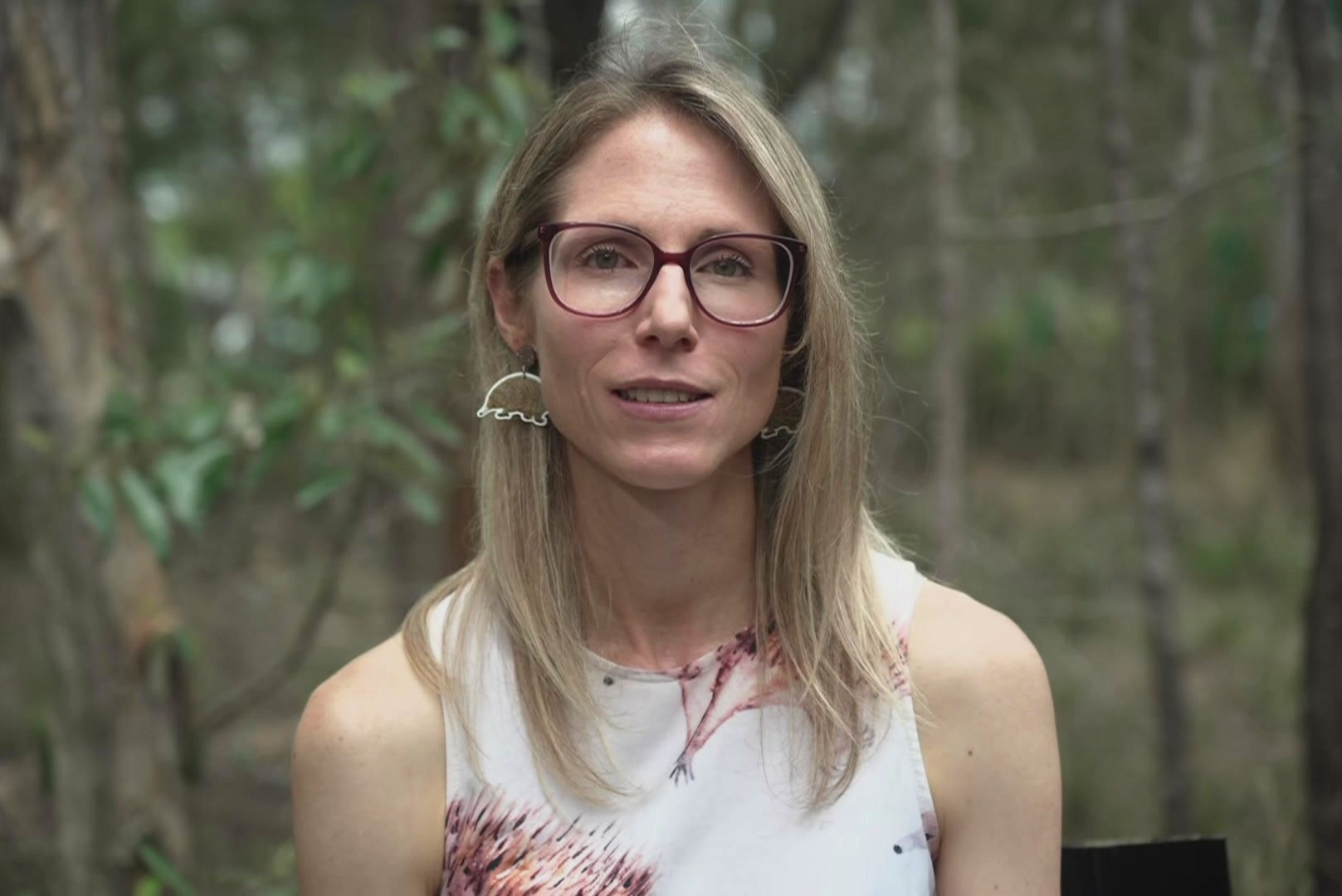 Echidna population count underway in Queensland amid urbanisation and ...