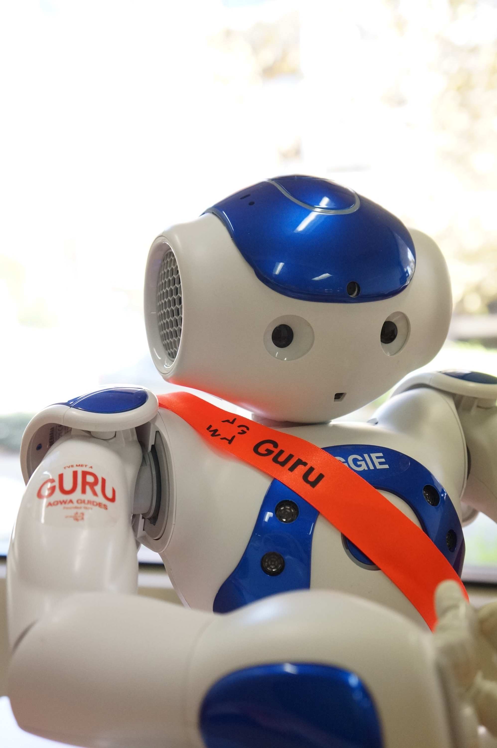 Meet Aggie the robot art expert at AGWA - ABC listen