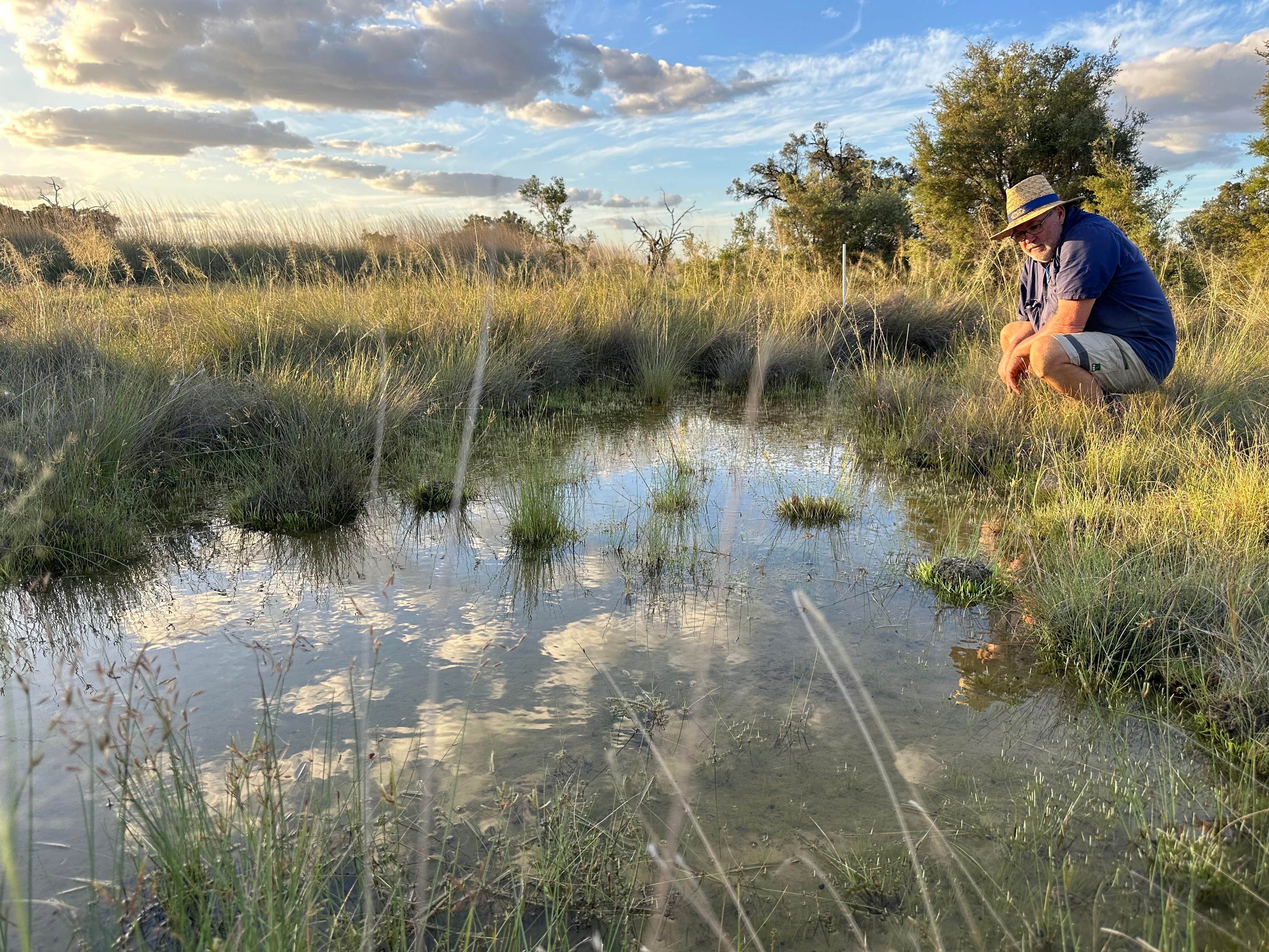 Giant cockroach, tiny crayfish mascots lead bid for national park-like ...