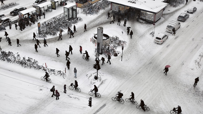 What desire paths can tell us about how to design safer, better public ... What desire paths can tell us about how to design safer, better public ...
