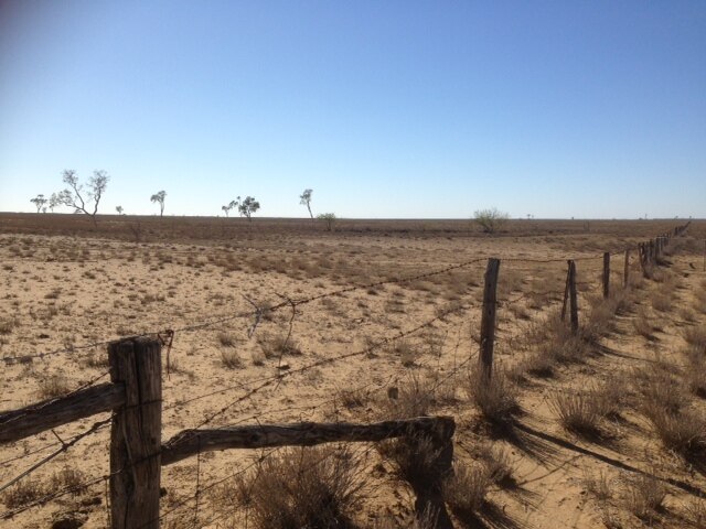 Queensland drought: Appeal uses social media to muster cash support for ...