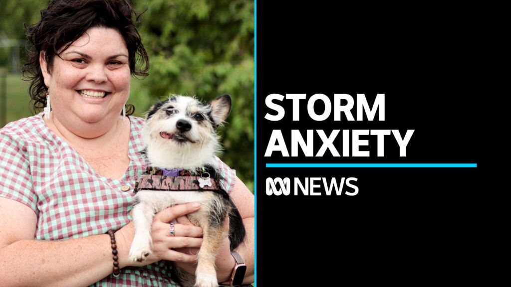 What can ease an anxious dog's stress over thunderstorms? - ABC News