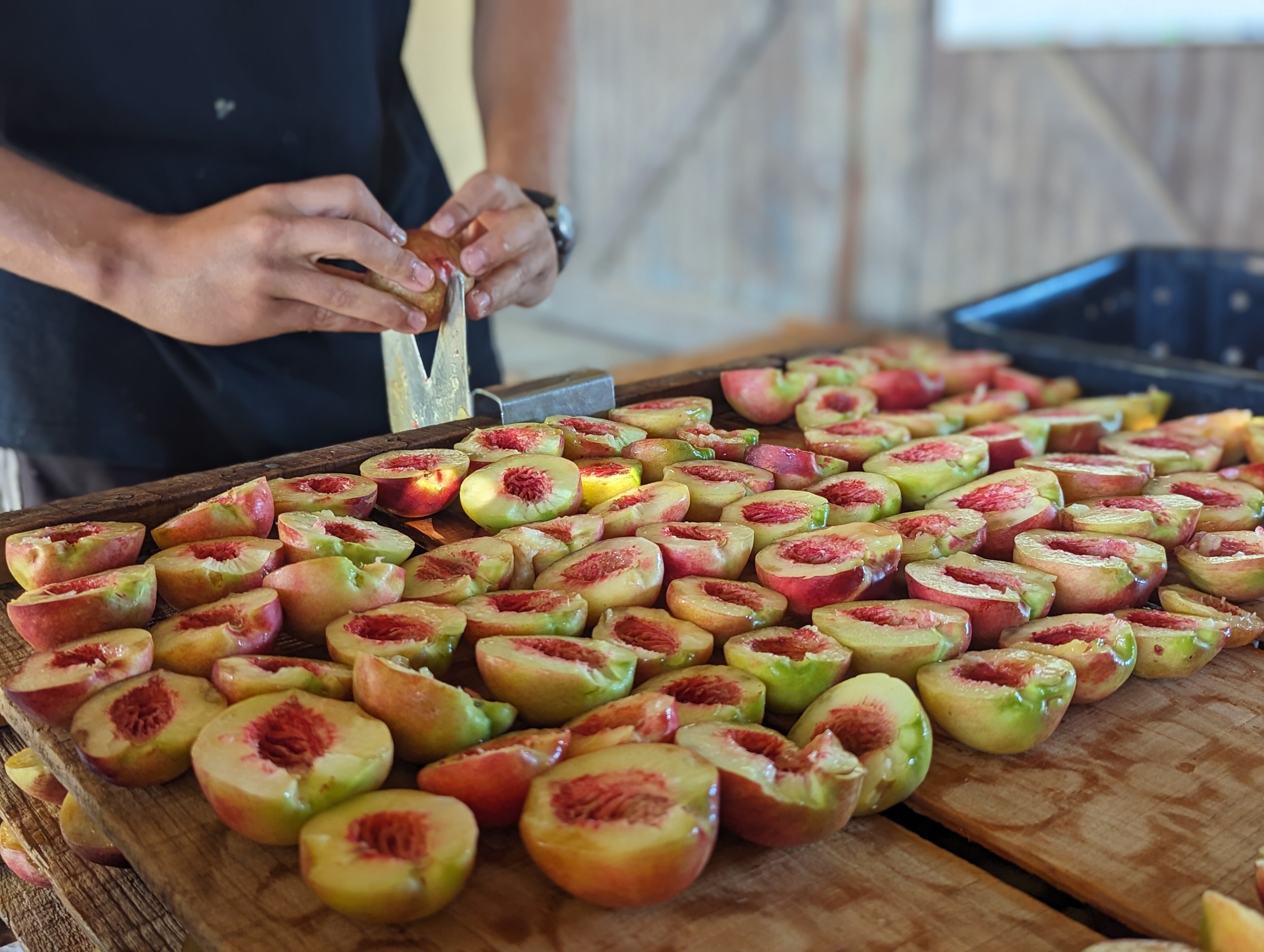 Dried Fruits Australia warns a wet summer may mean a shortage of ...