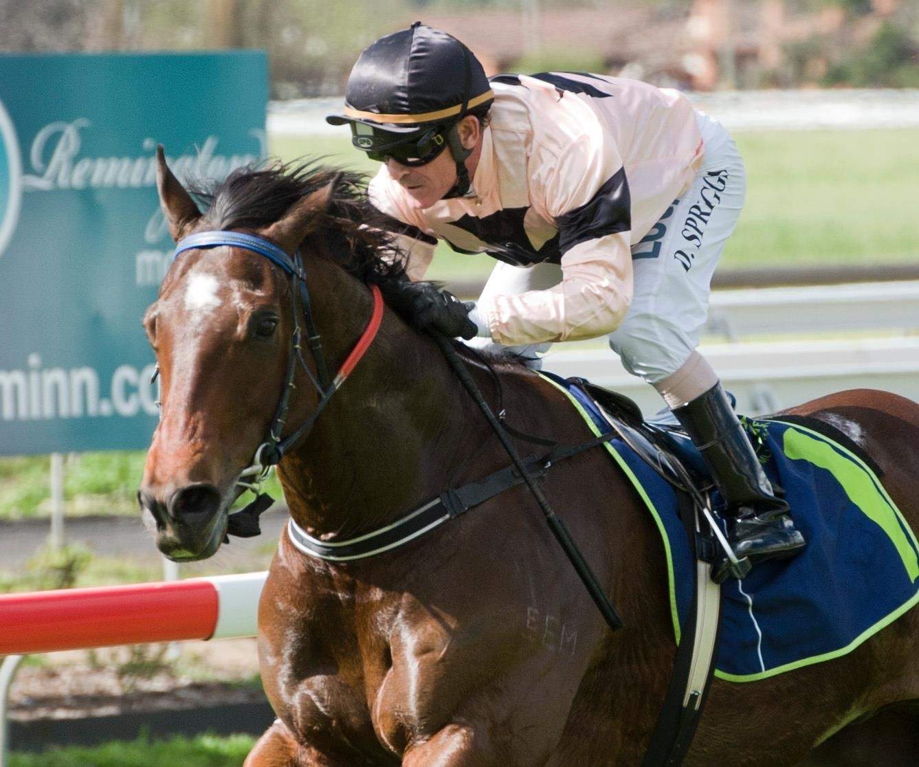 'Head knocks left, right and centre': Jockey's brain could unlock ...