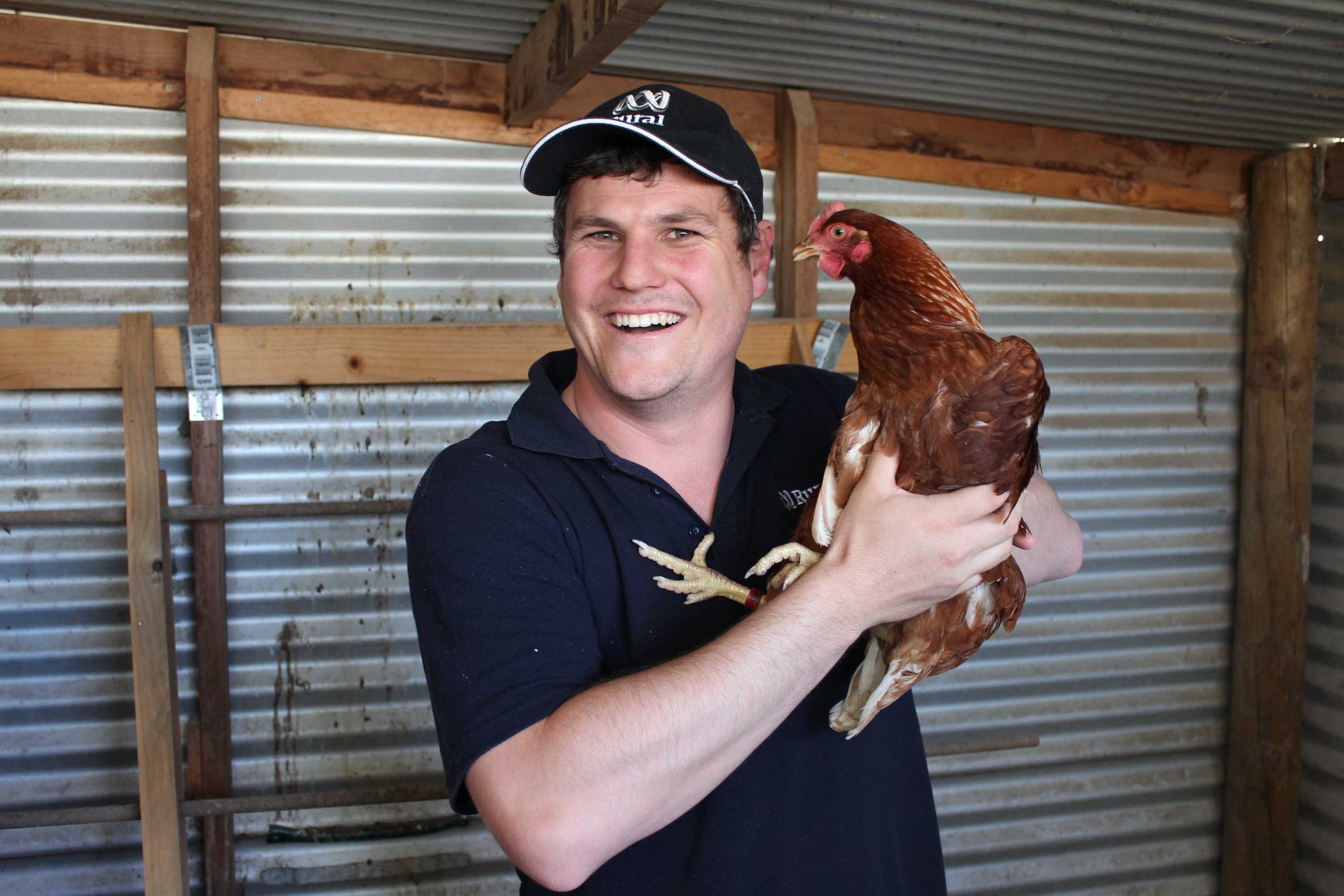 Sentinel chickens retire from public service with 50 year service medal ...