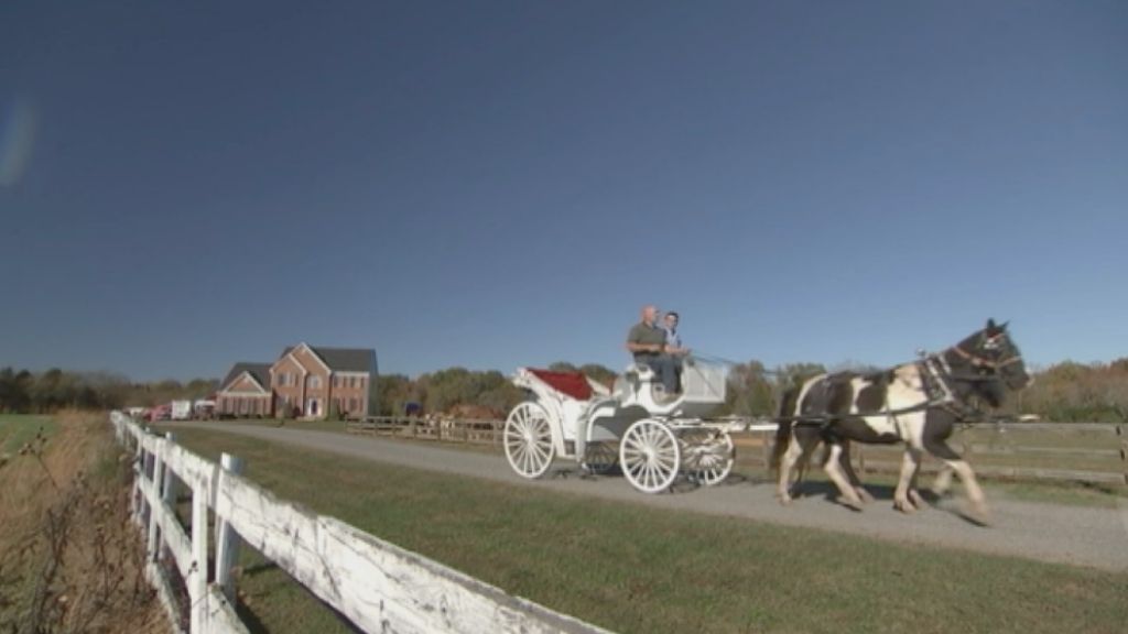US Election: Why do Americans vote on a Tuesday? - ABC News