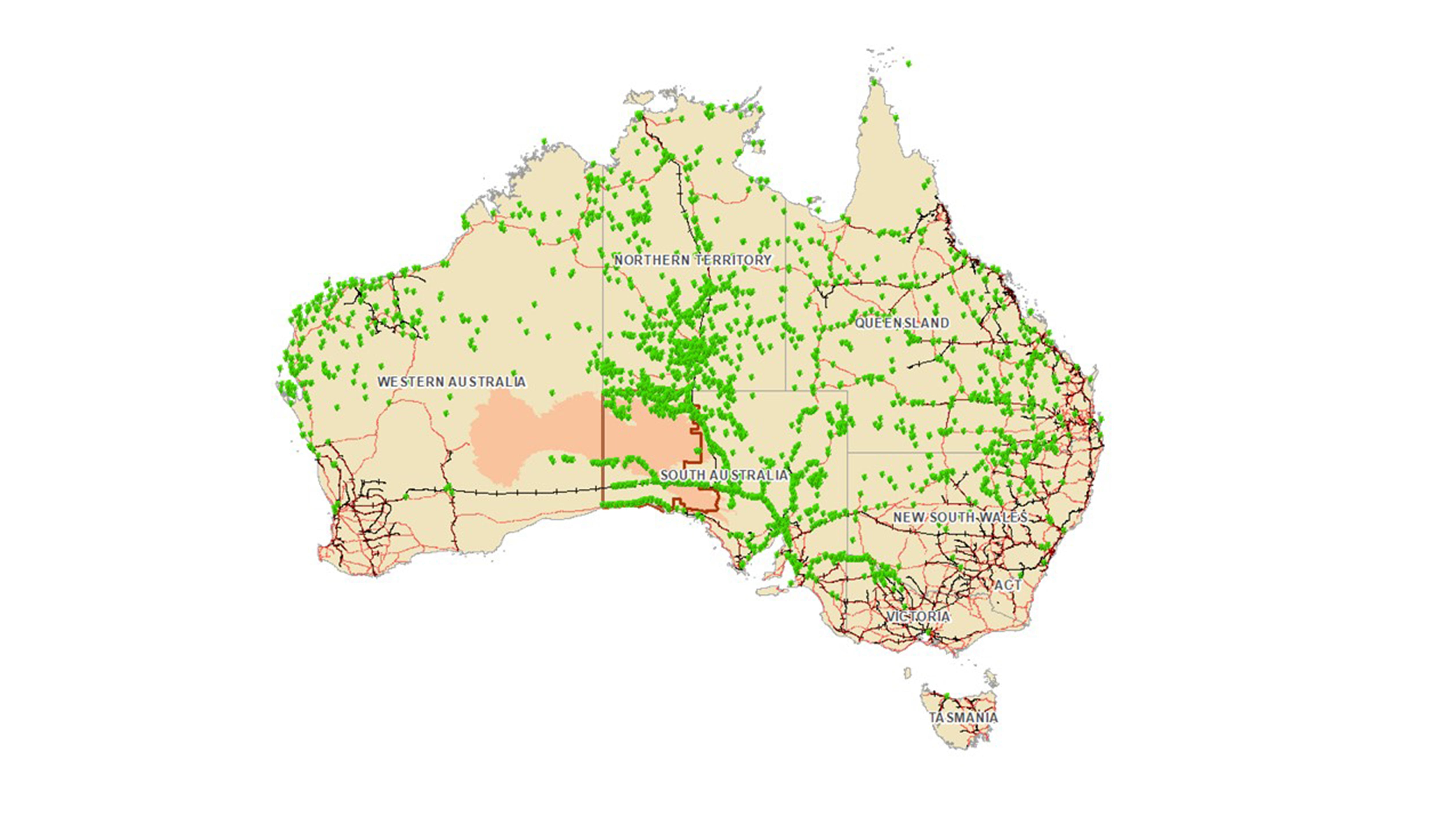 Invasive buffel grass that helped fuel deadly Maui fires also ...