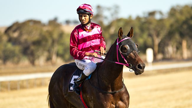 Race club lends support to jockey - ABC News