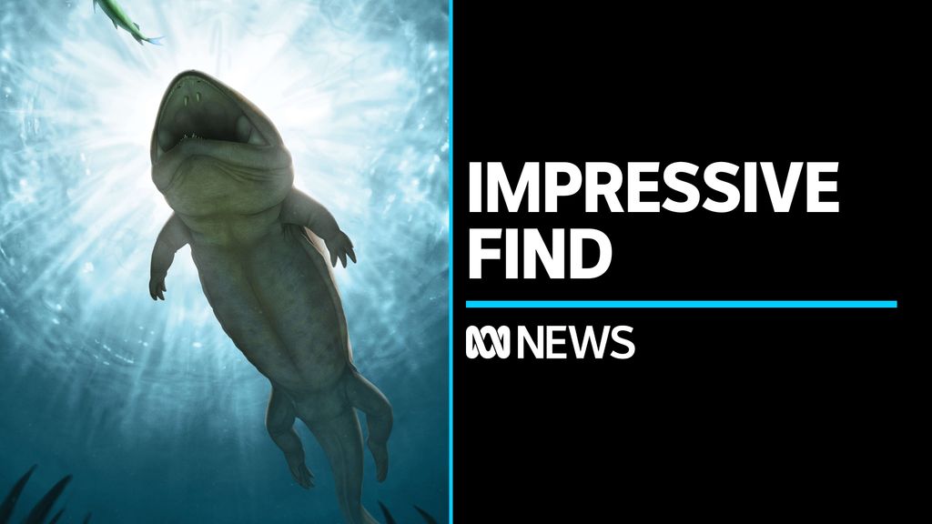 Fossil discovered near Gosford 30 years ago finally identified - ABC News