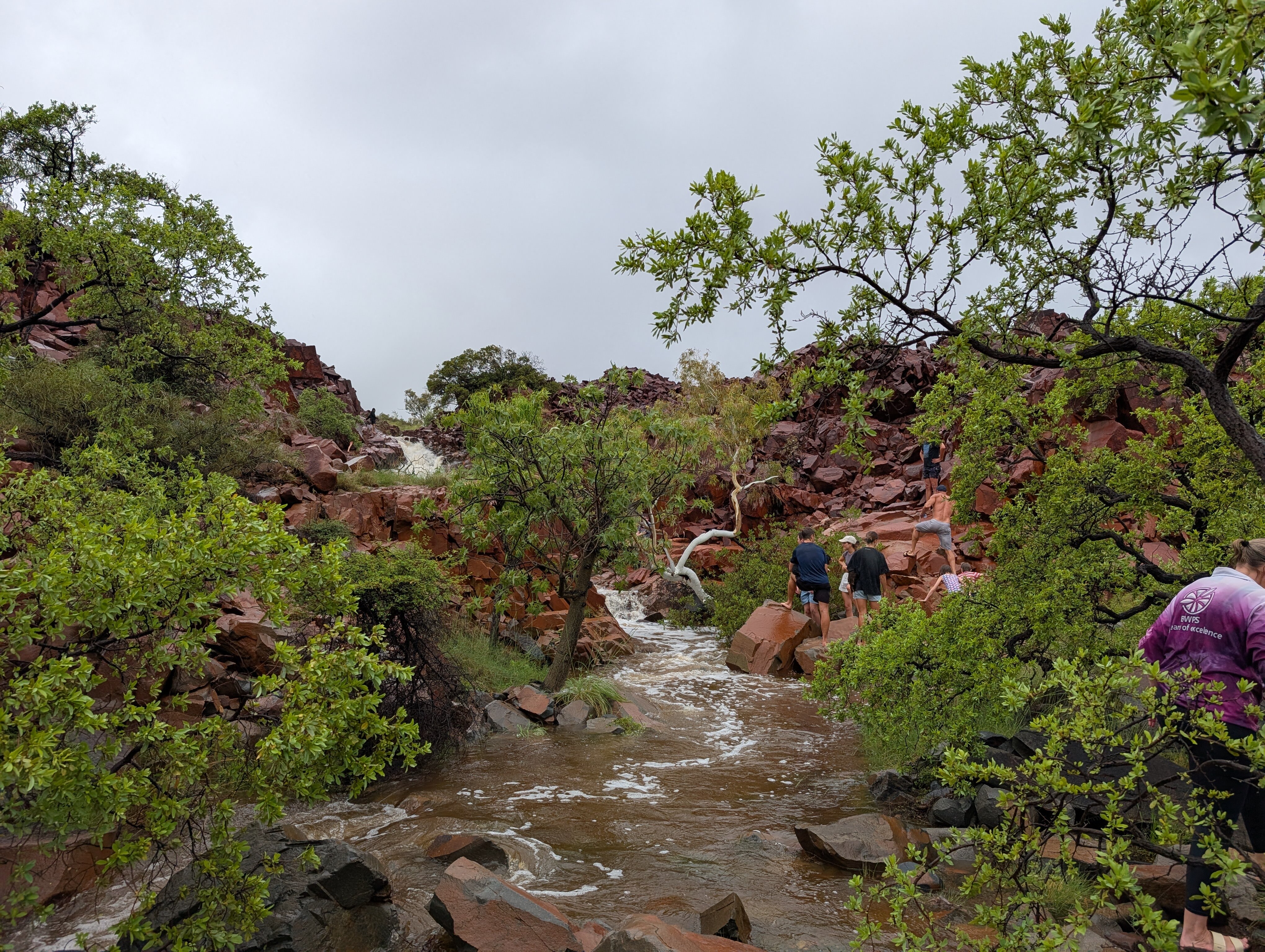 Rain from Tropical Cyclone Sean transforms Pilbara landscape - ABC News