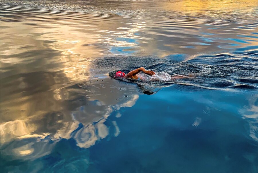 Swimming around Moreton Island a massive endurance feat through shark ...