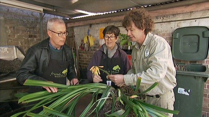 Growing Friends - Gardening Australia