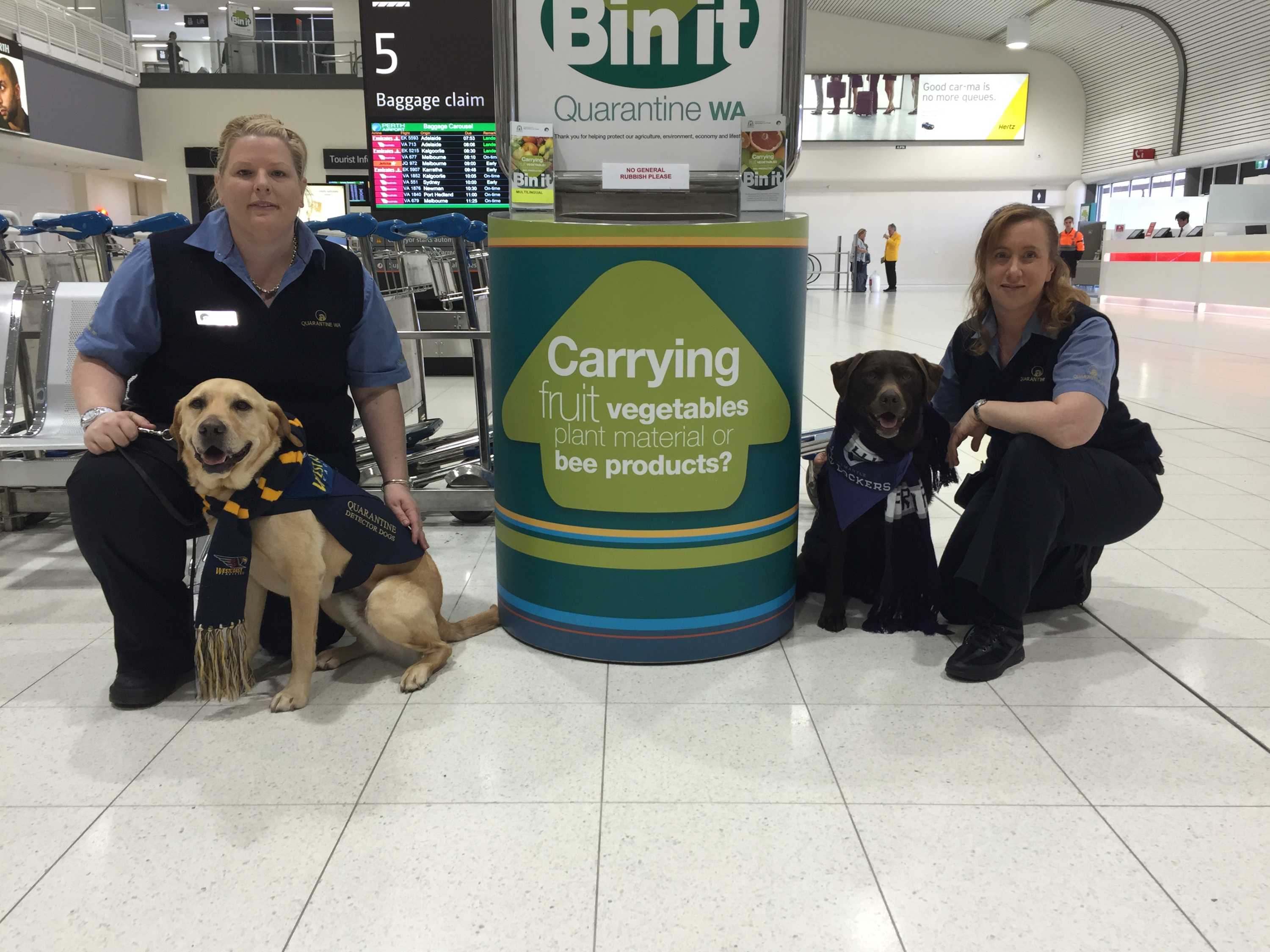 Behind the scenes of Perth airport's furry biosecurity unit - ABC listen