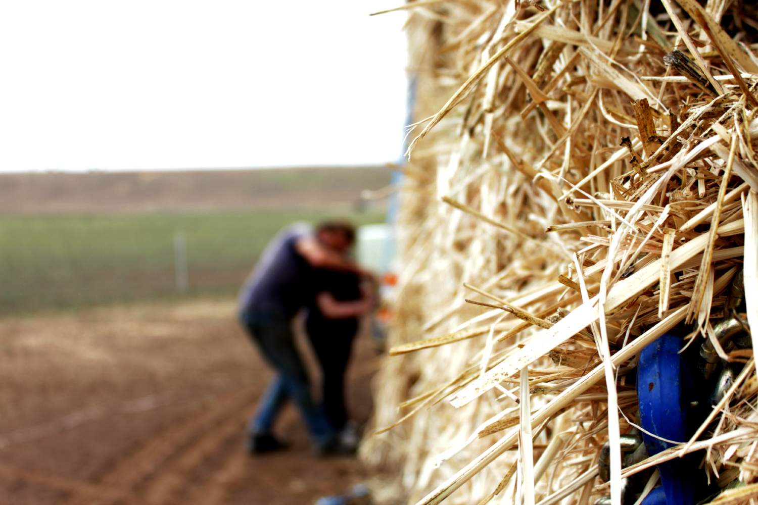 Huge response to bushfire call for help - ABC News