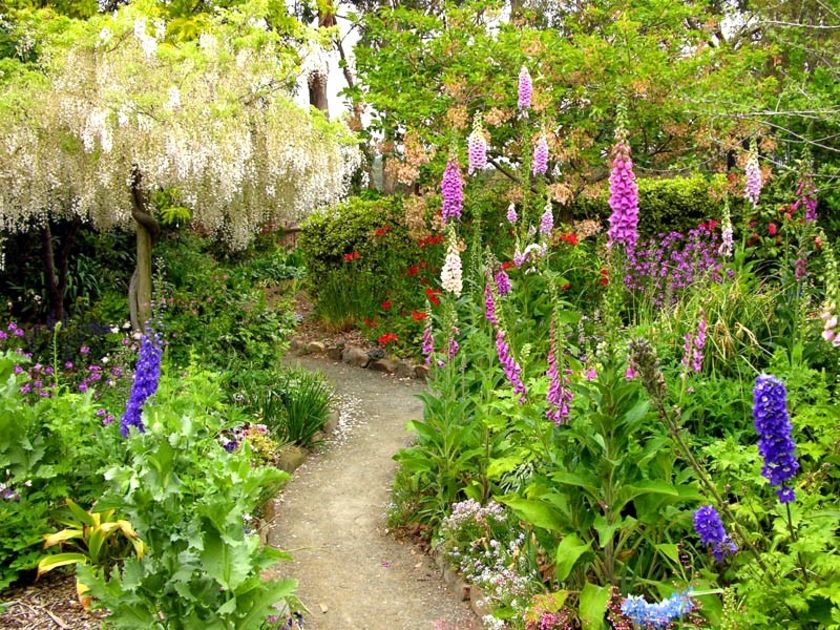 The garden in the library: Cicero and the stuff of life - ABC News